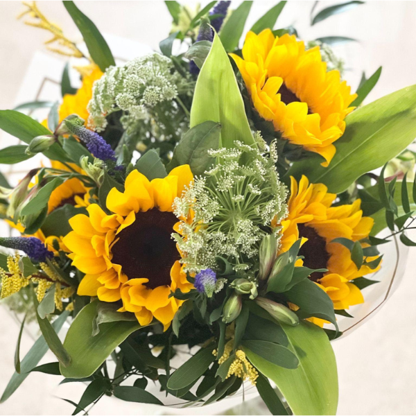 Wonderful Sunshine – Bloom Avenue